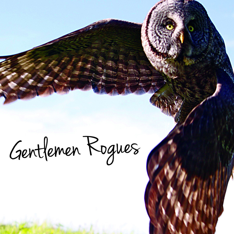 Gentlemen Rogues